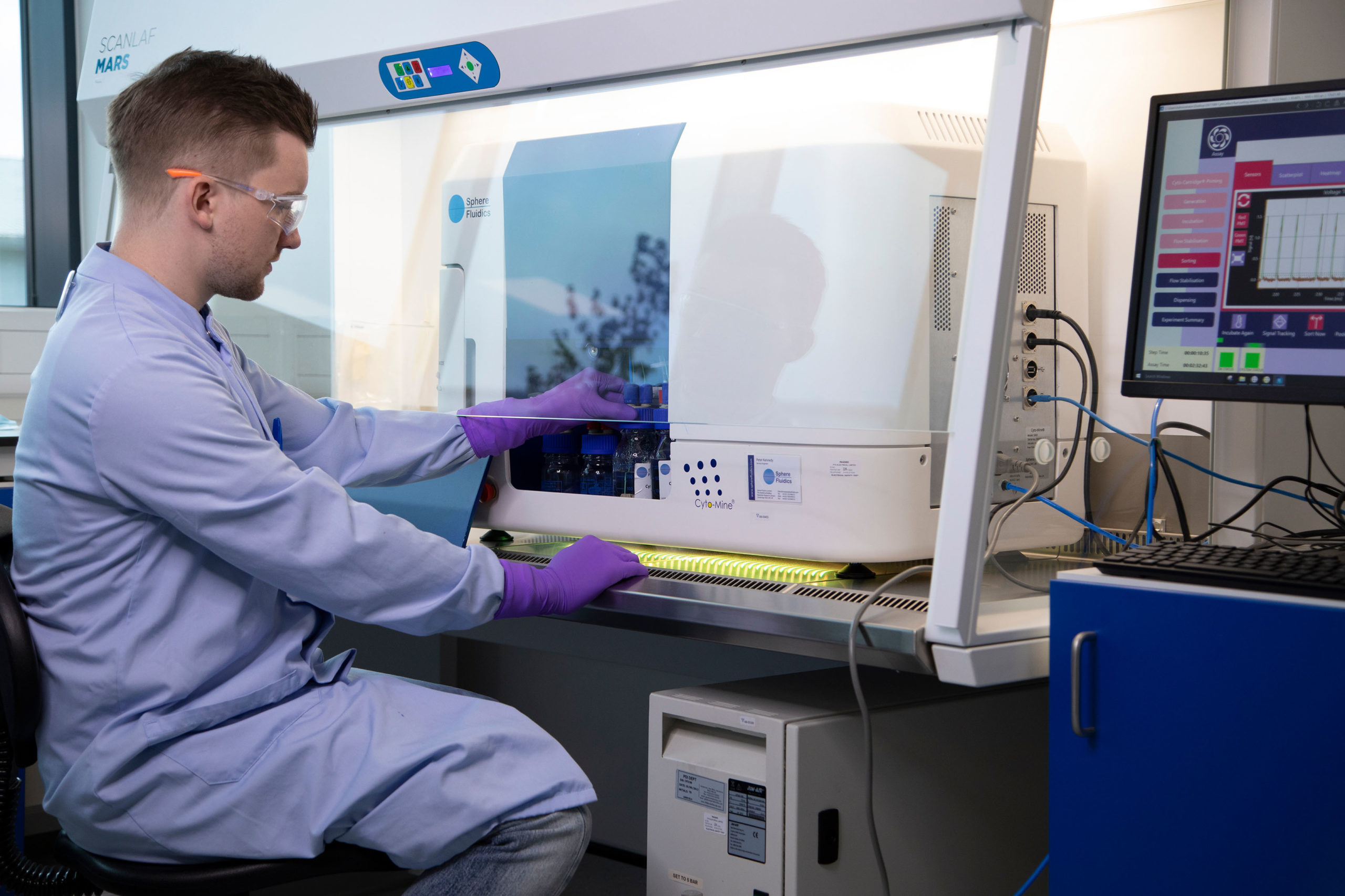 An Overview of Cell Line Development | Resources | Abzena