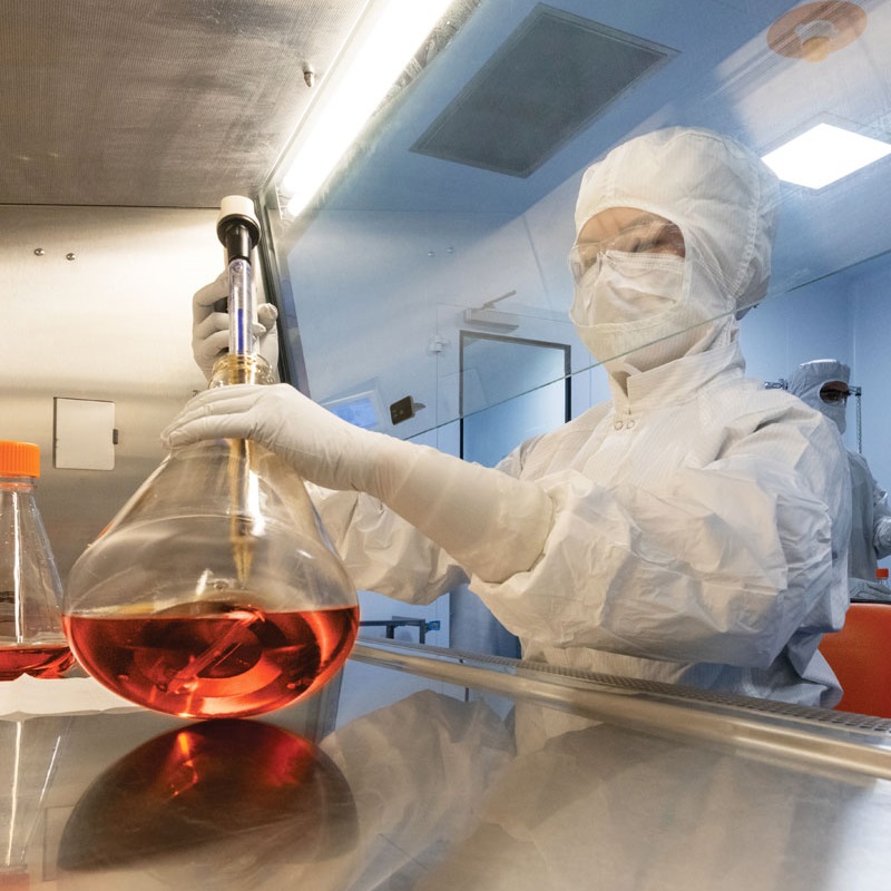 A proactive approach to Cell Line Development - Part 2: Three ...