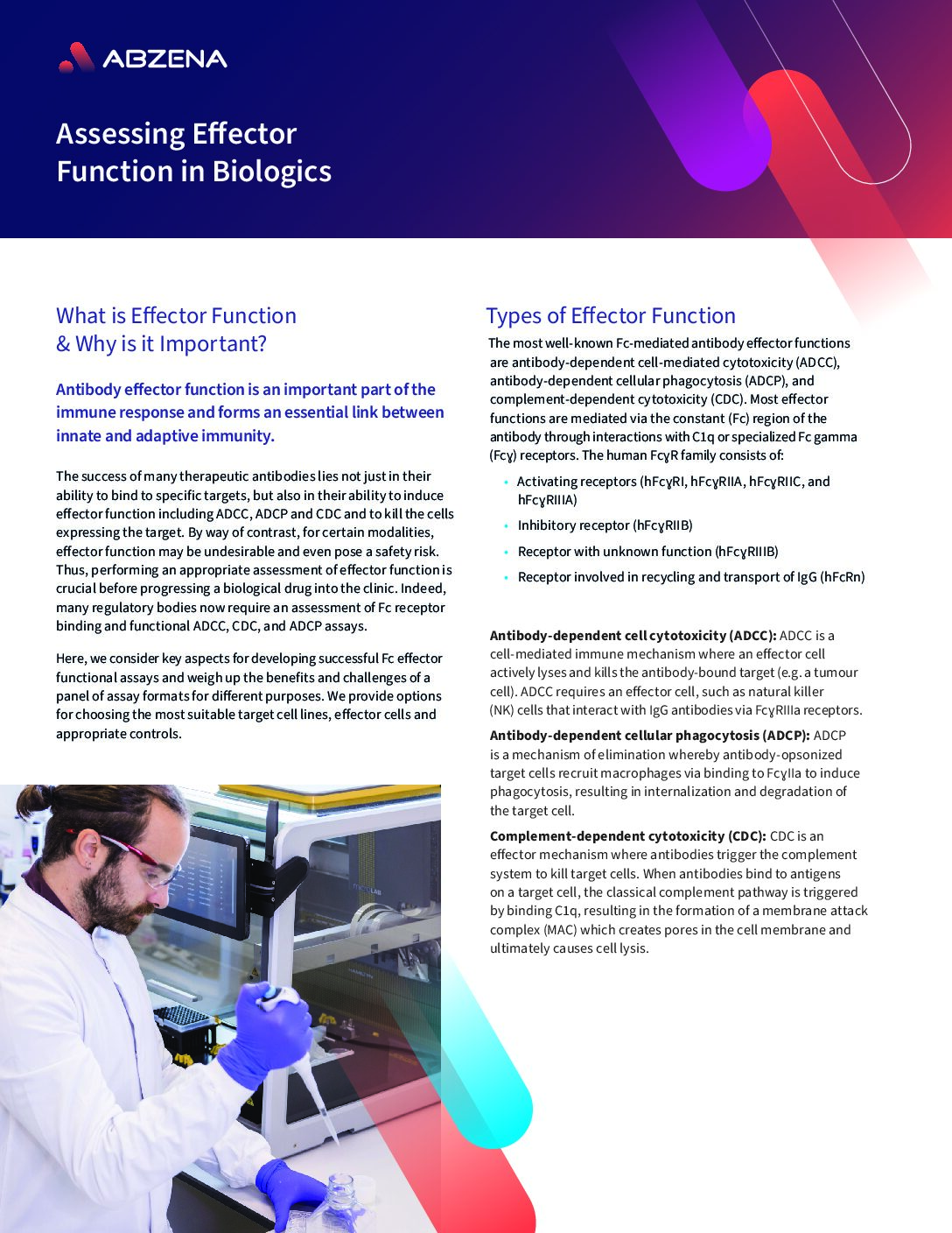 Assessing Effector Function in Biologics | Abzena